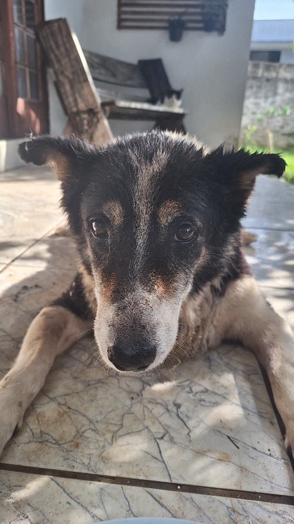 Prayer Request by Maria Luisa